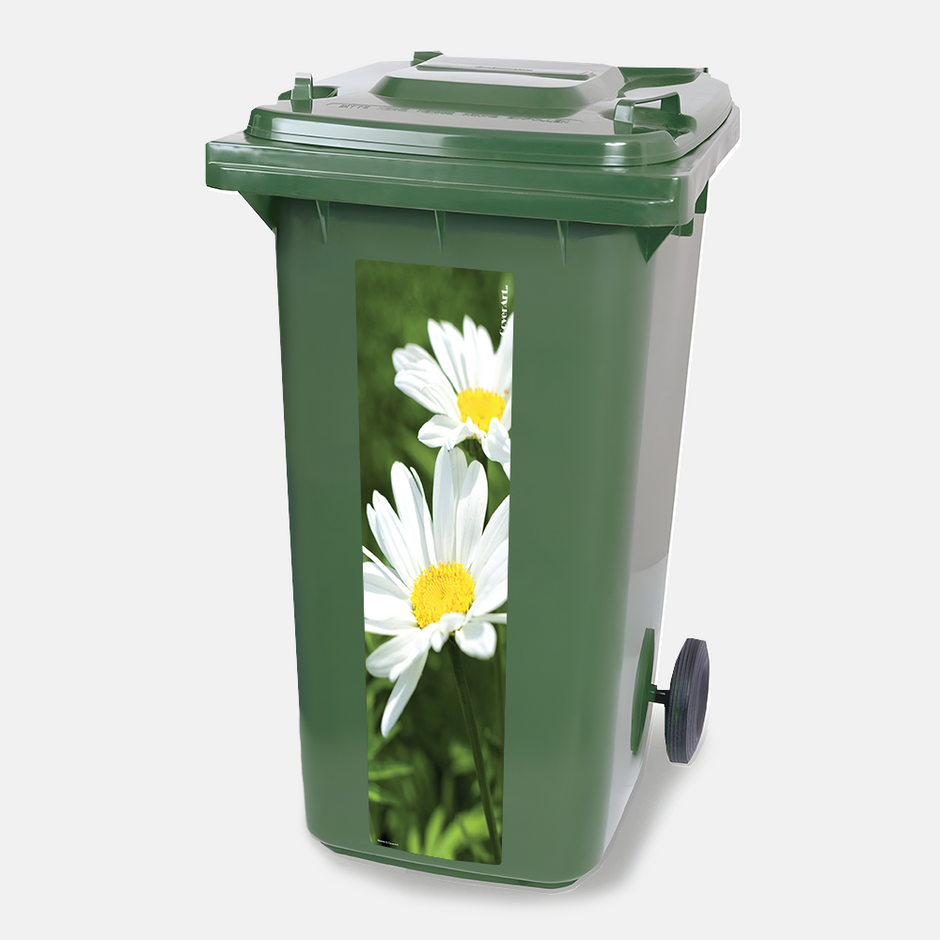 Kliko strips – CoverArt